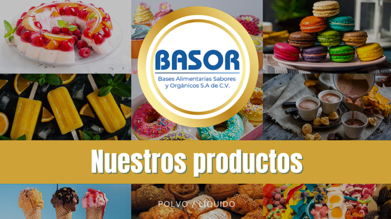 Basor – La opción de los expertos